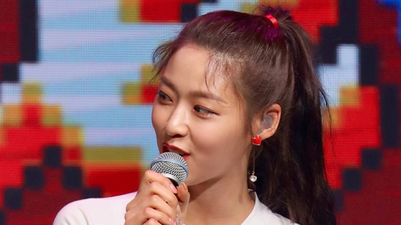 [가요][Y현장]AOA 설현 "SNS 팔로워, 지인 외에 정리한 것" | YTN