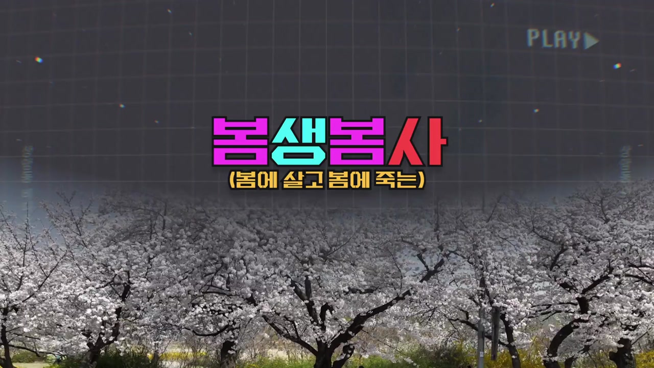 [사회][상암동비디오] 봄생봄사 (90년대 봄) | YTN