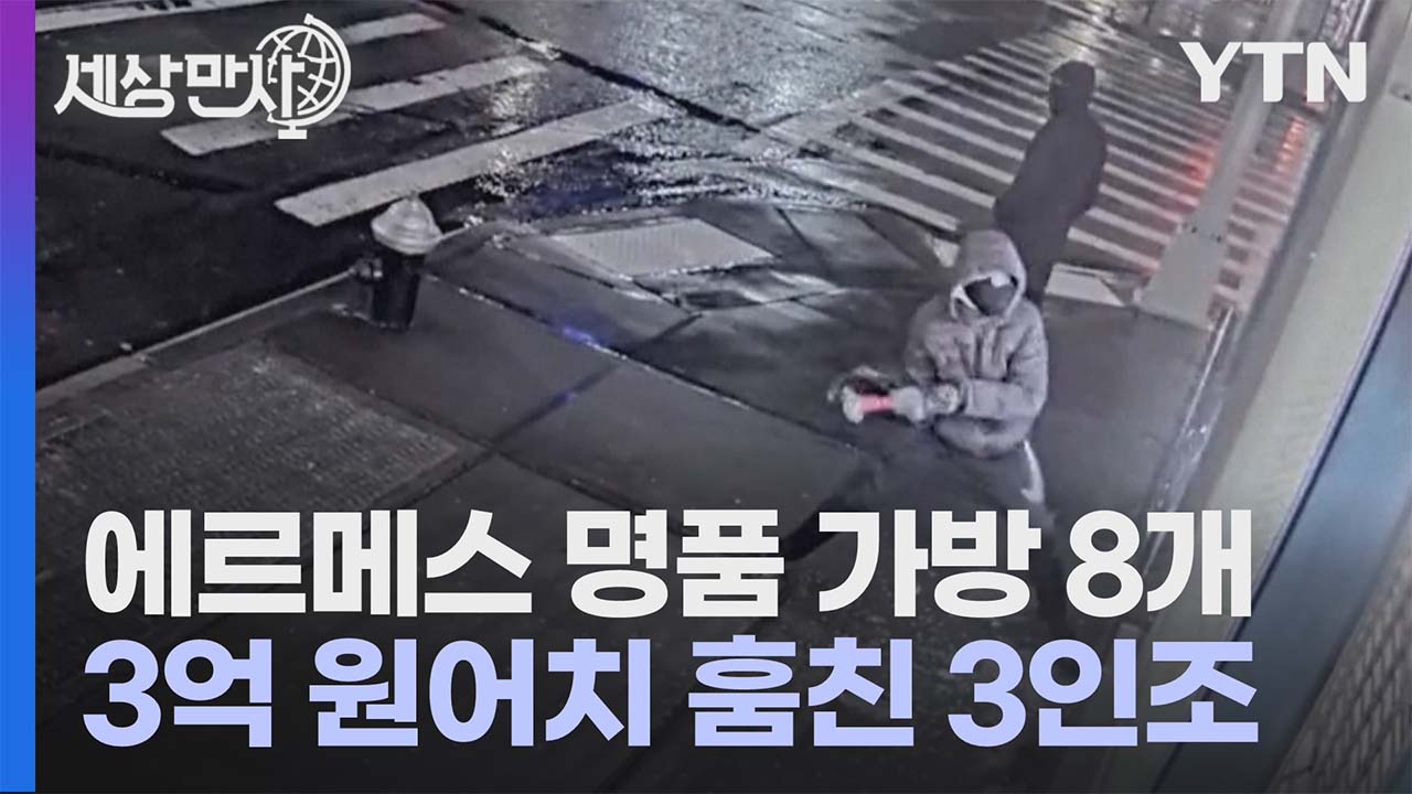 [국제][세상만사] 33초 만에 에르메스 명품백 8개 훔쳐간 뉴욕시의 절도범들 | YTN