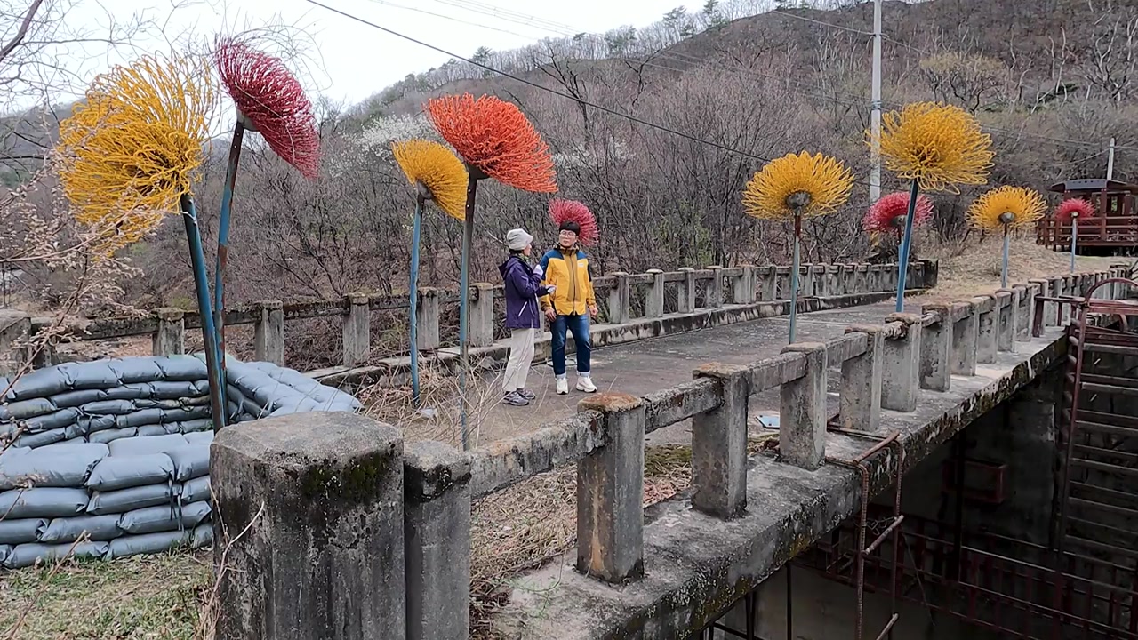 [전국]DMZ 내부 비경, 다시 열린 양구 두타연 숲길 | YTN