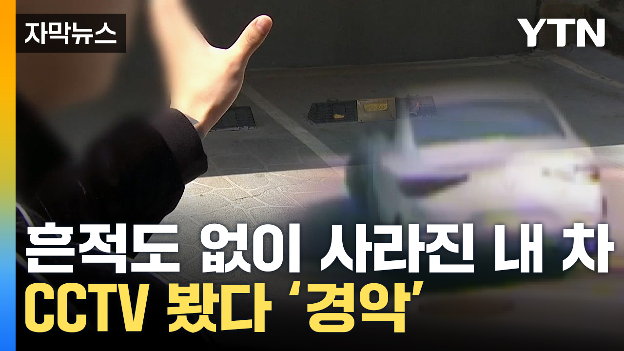 [자막뉴스] "그 외제차 팔아버렸어요"...CCTV 속 상상도 못한 범인 | YTN