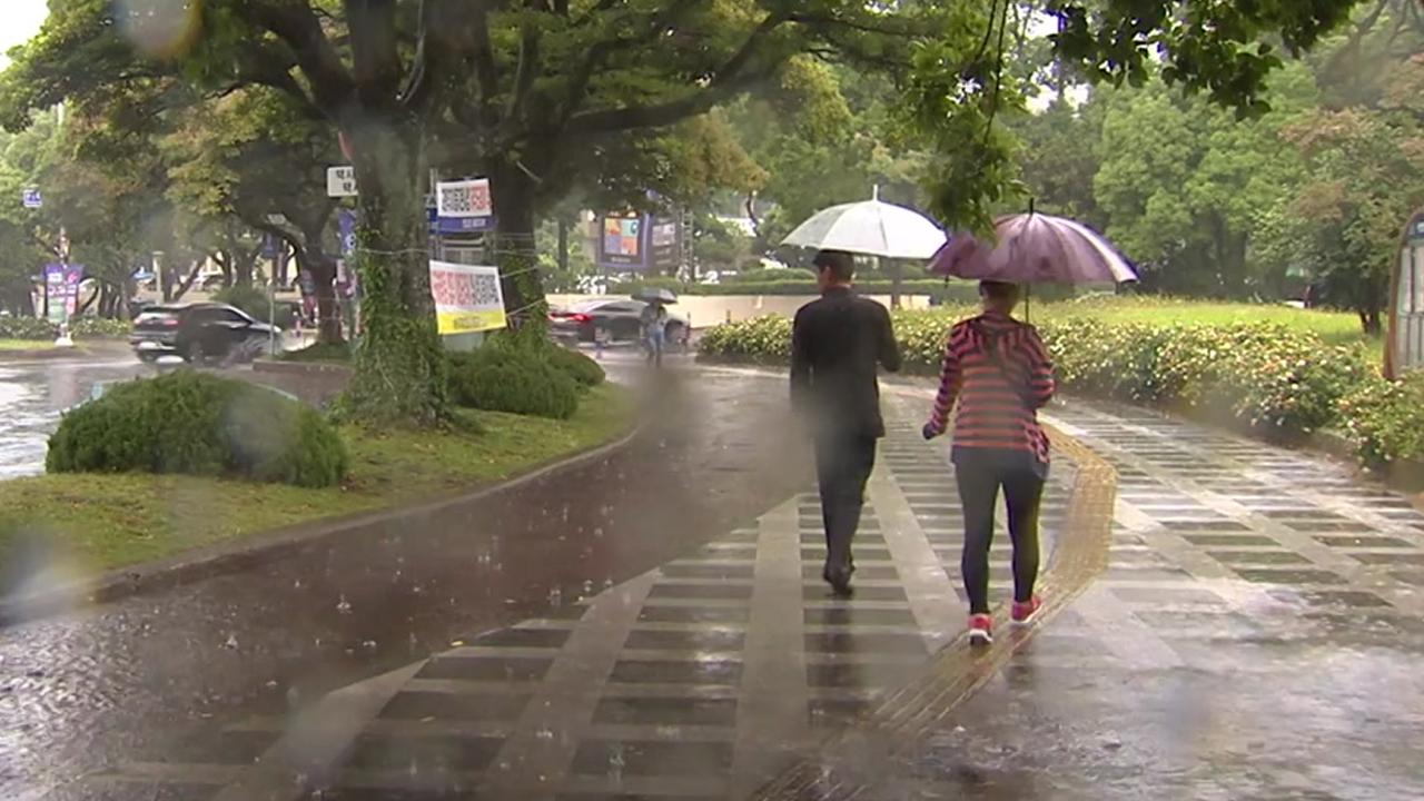 [날씨] 오늘 전국 장맛비...중부 시간당 30∼60mm 호우 | YTN