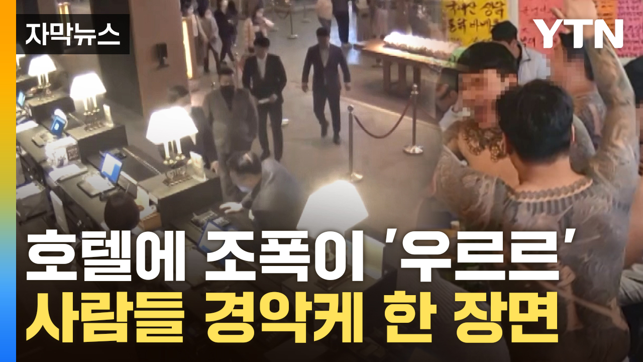 [자막뉴스] "형님!" 특급호텔서 공포의 장면...충격적인 MZ조폭 실태 | YTN