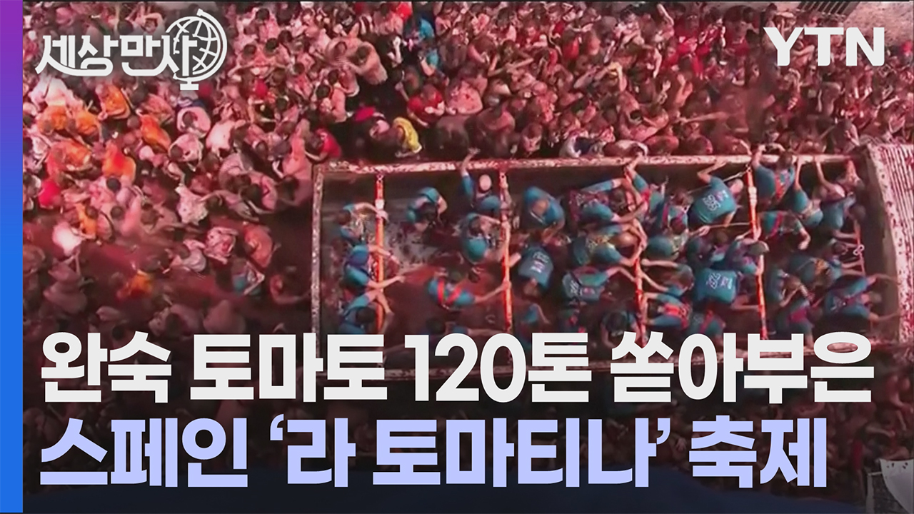 [국제][세상만사] 토마토 120톤 쏟아부은 스페인 '라 토마티나 축제' | YTN