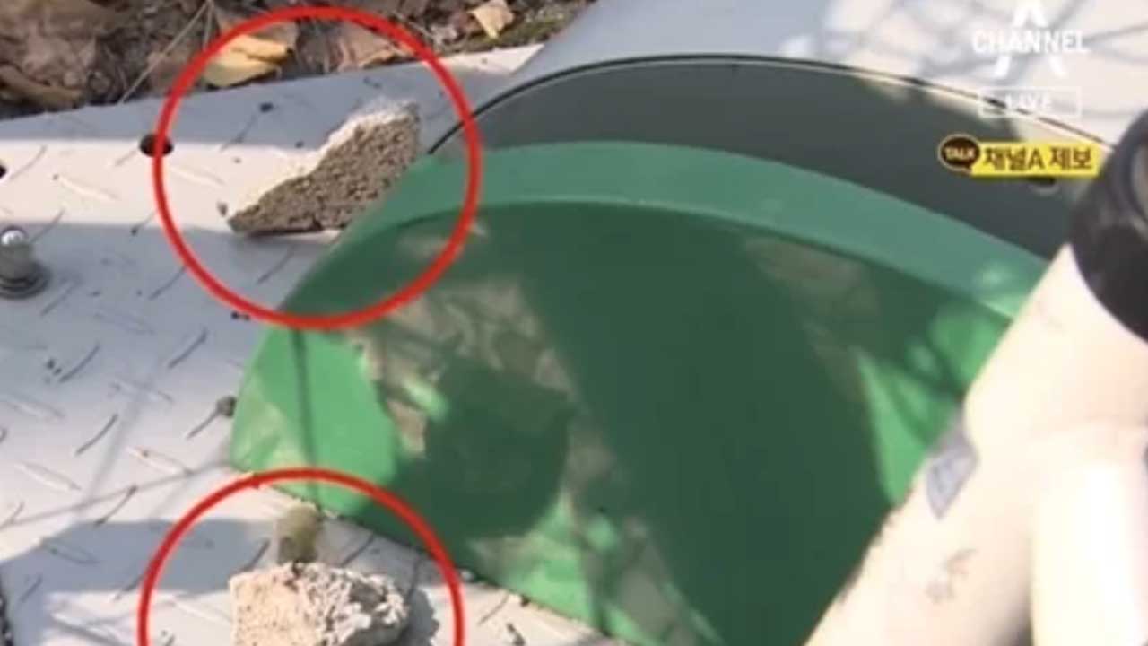 [사회]옥상에서 3kg 벽돌 던진 남성 체포 "사회 불만 쌓였다" | YTN