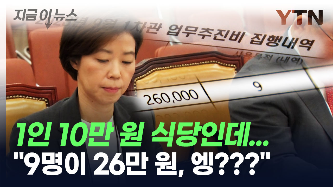 [지금이뉴스]'1인 10만 원' 식당, 9명은 26만 원?...이상한 결제 내역 | YTN