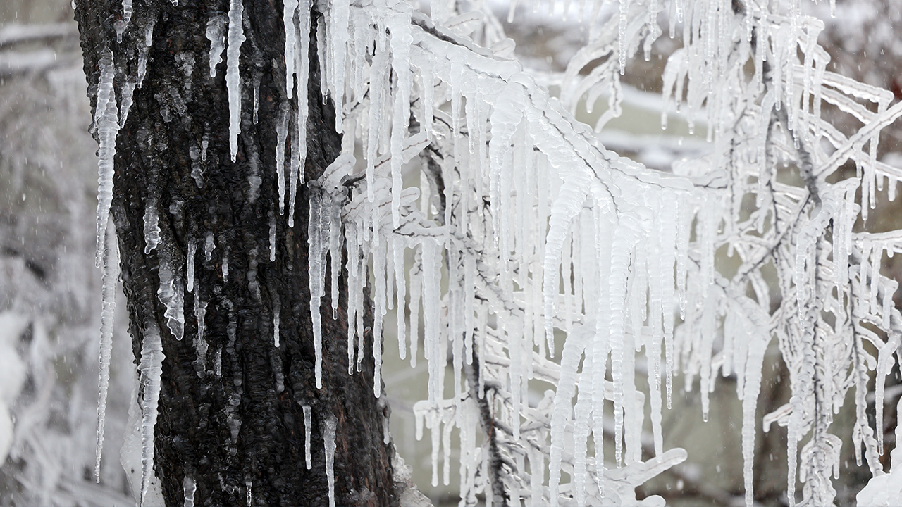 [Y녹취록]"더 혹독한 추위 가능성"...이번 한파 끝나도 '긴장' | YTN