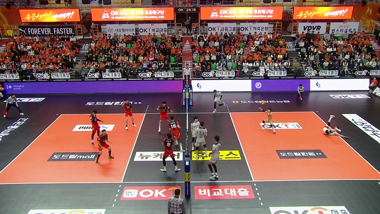 [스포츠]OK금융그룹, 봄 배구 3연승으로 챔피언결정전 진출 | YTN