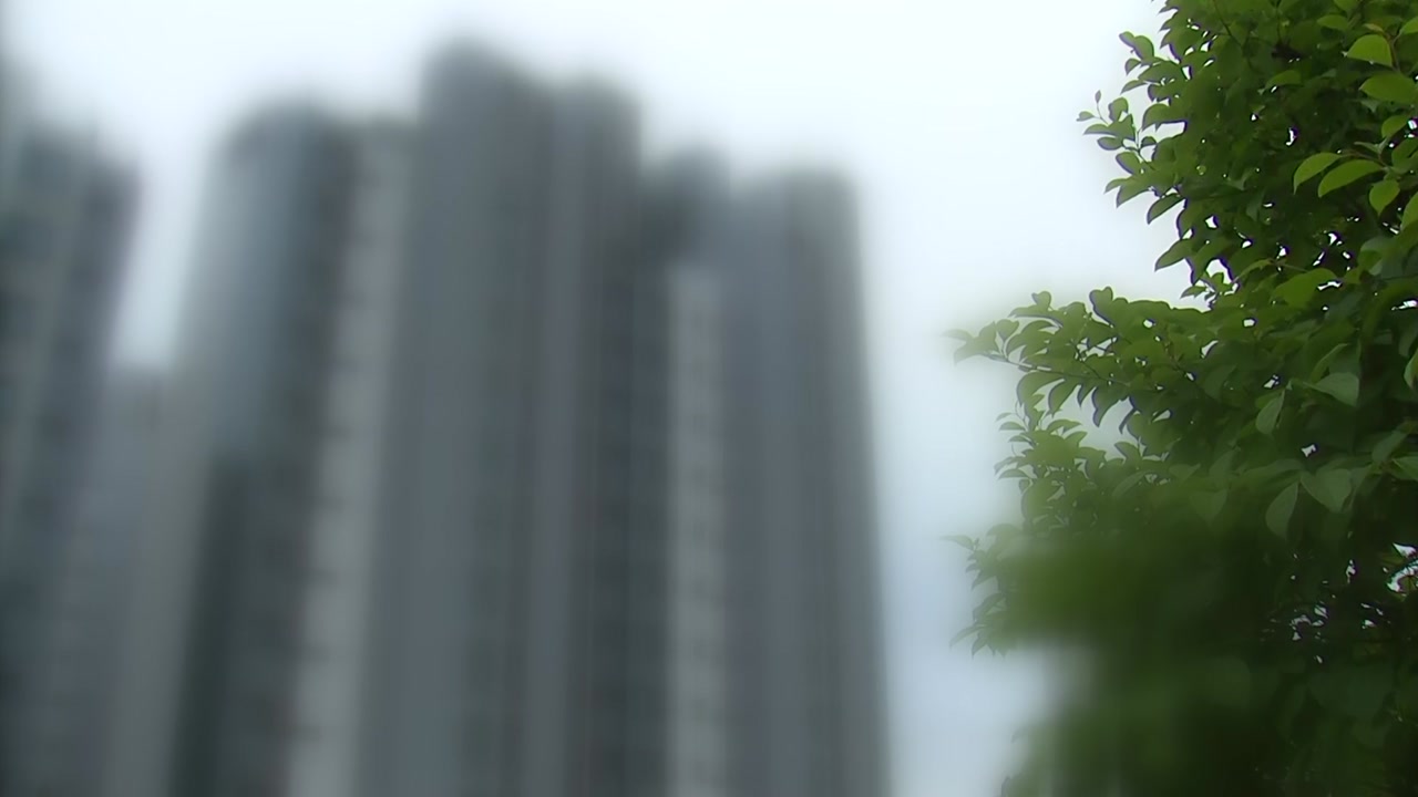 [사회][단독] 금전 문제로 흉기 휘두른 80대...모자 2명 사상 | YTN