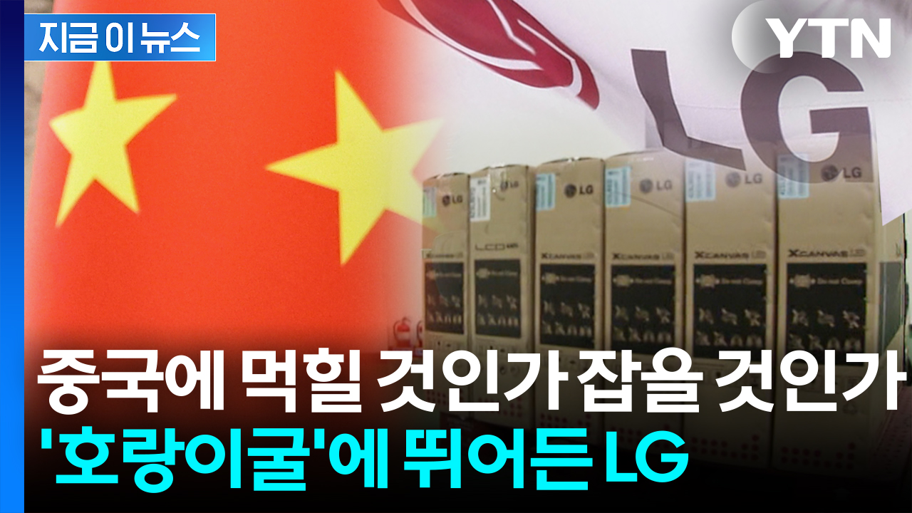[지금이뉴스]중국과 손잡고 '세계 제패' 노린다... LG전자의 파격적인 승부수 | YTN