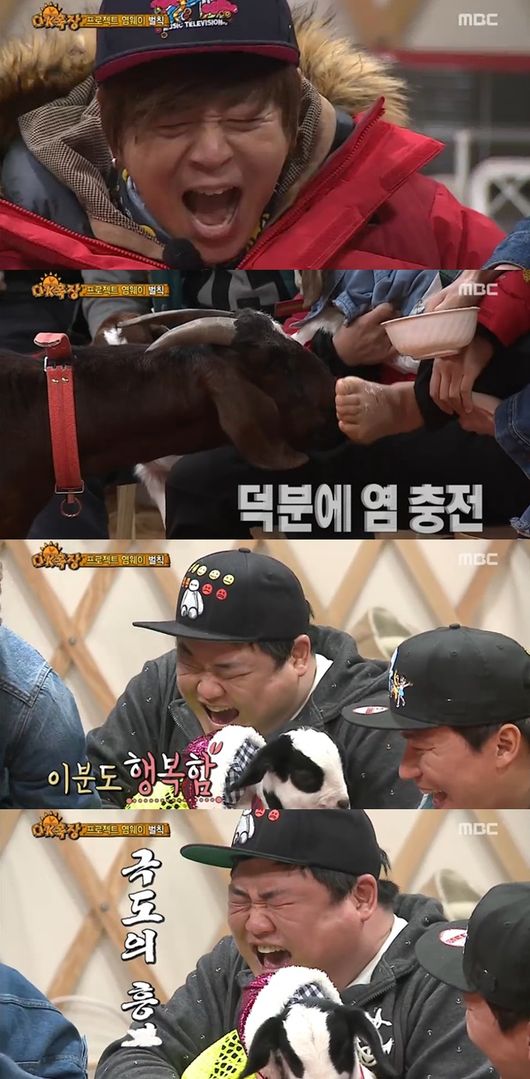 [방송]‘애니멀즈’ 윤도현·김준현, 염소가 발 핥아..‘폭소만발’ | YTN