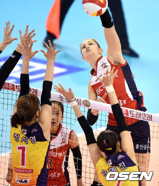 [스포츠종합][사진]KGC 헤일리,'타점 높은 스파이크' | YTN