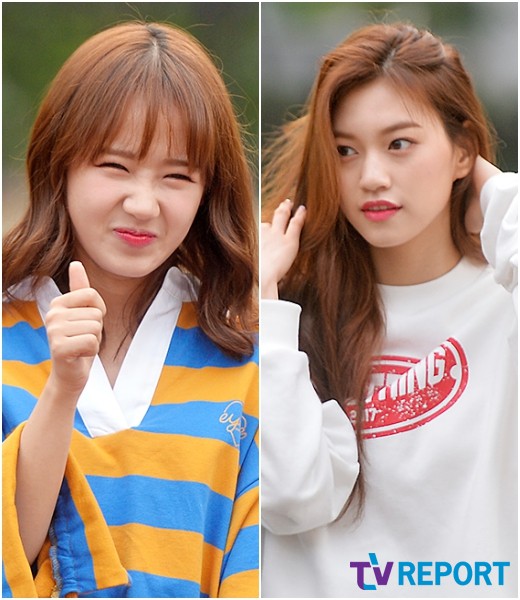 [방송][T포토-Lab] '위키미키' 최유정-김도연 '깜찍-시크, 양보없는 매력 대결' | YTN