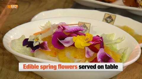 Edible spring flowers served on table | YTN