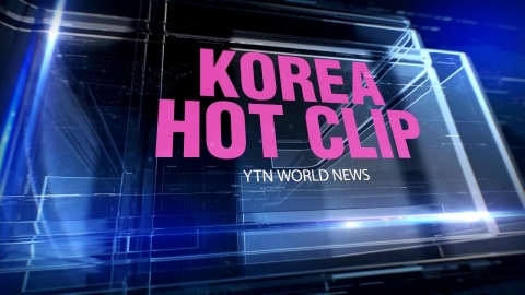 [다시보기] Korea Hot Clip | YTN