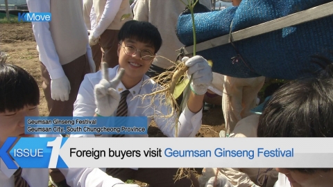 [K-MOVE] Geumsan Ginseng Festival | YTN