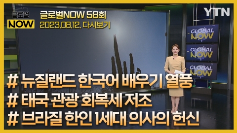 2023년 8월 12일 글로벌 NOW | YTN